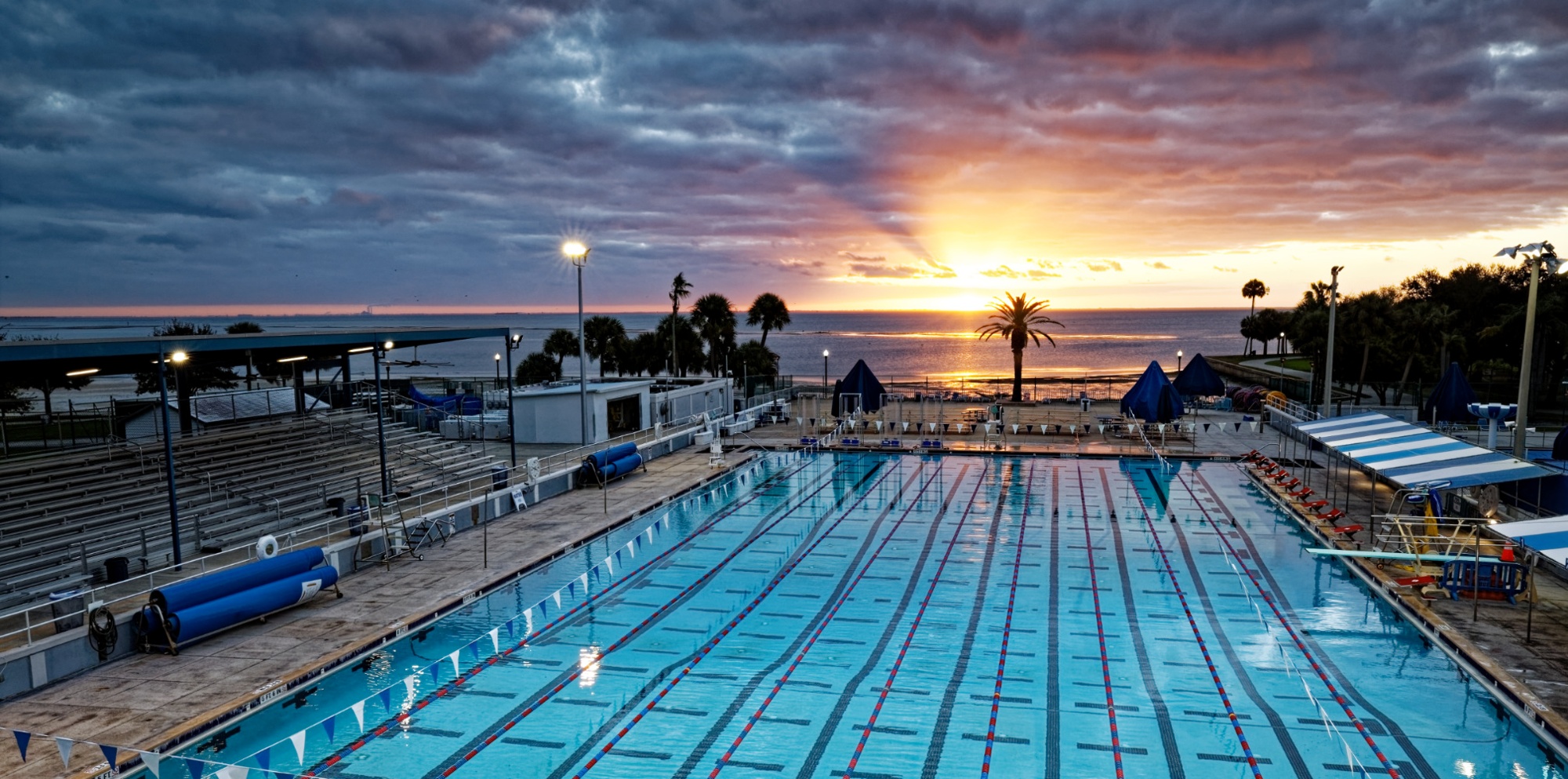 Saint Petersburg Aquatics Home