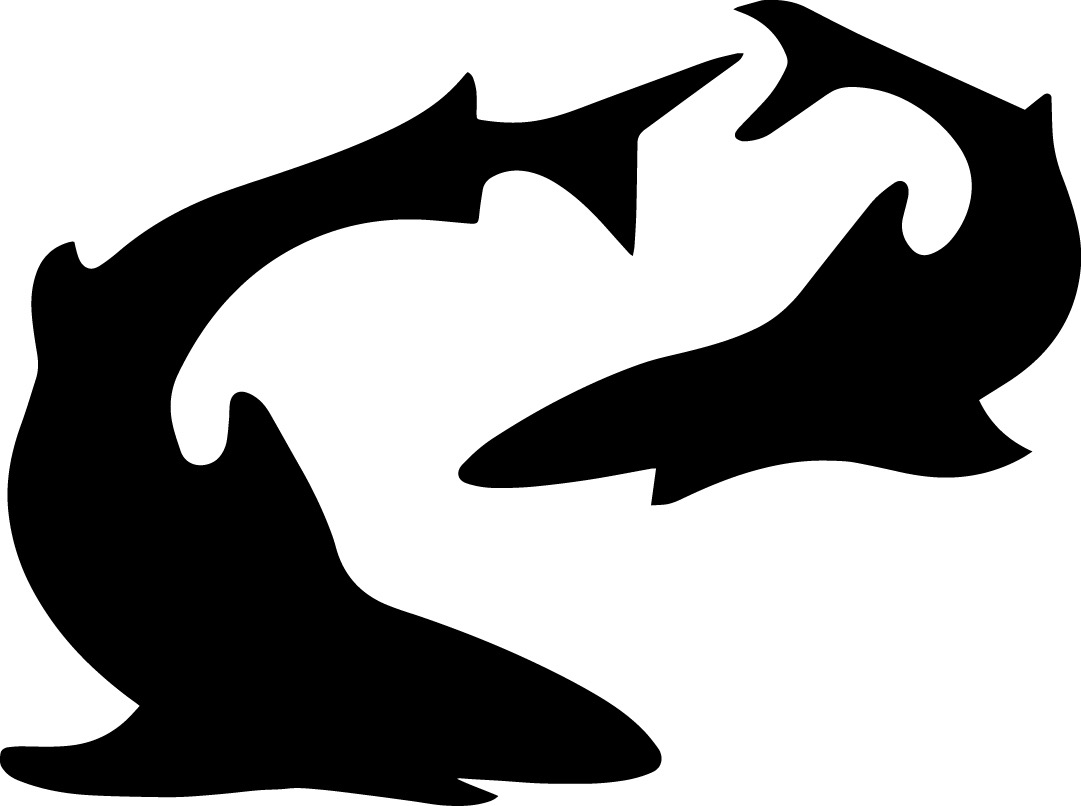 Sarasota Sharks - Shark Shop