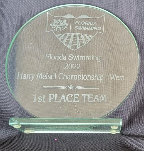 Tampa Y Swimming Home