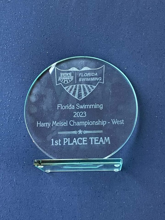 Tampa Y Swimming Home