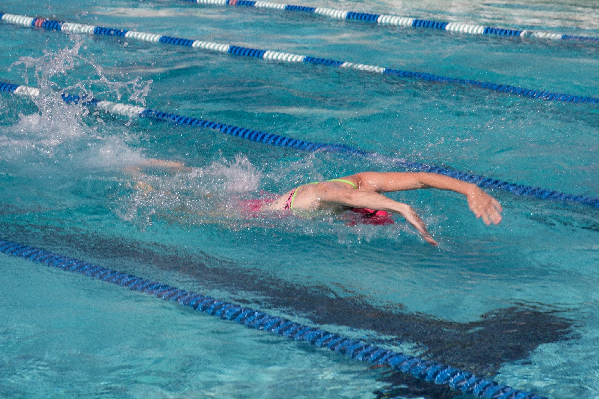 West Volusia Swim Club - Our Coaches