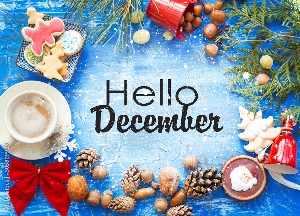 Southwestern Aquatics Team - SWAT Home