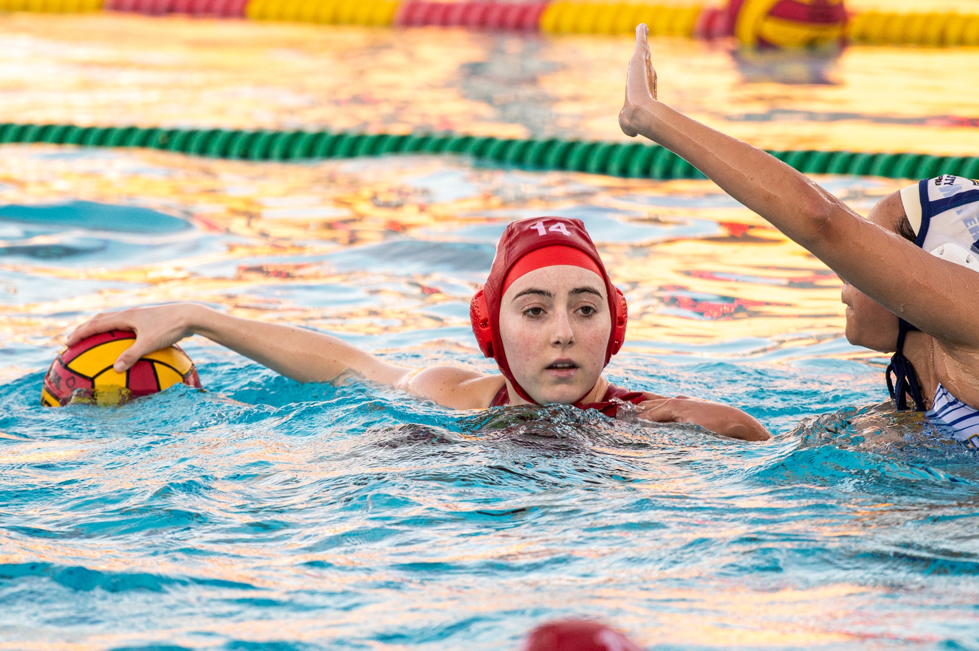 Mt. Carmel Swim & Dive Home