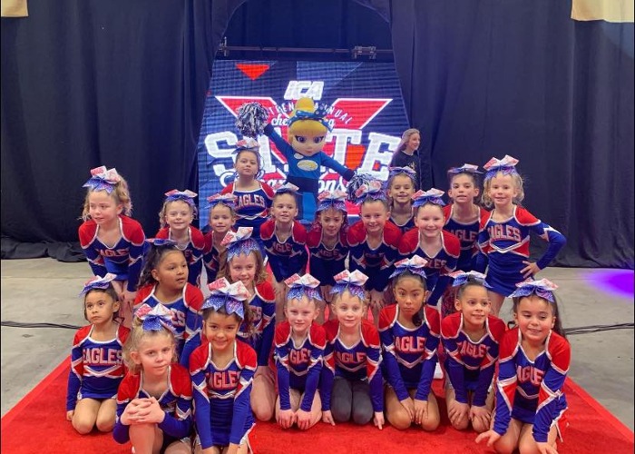 Lake Villa Eagles Youth Cheerleading Home