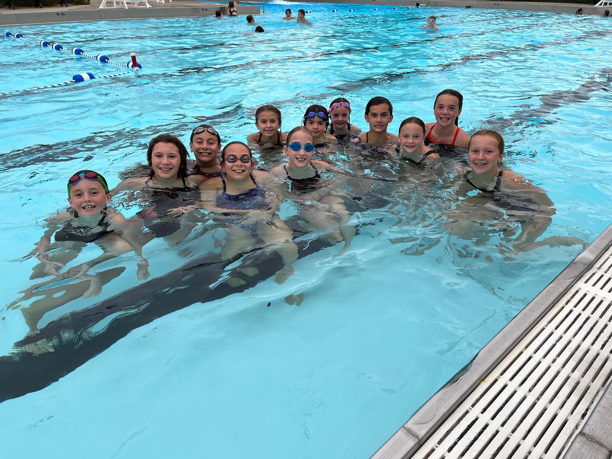 Palos Area Swim Sharks Home