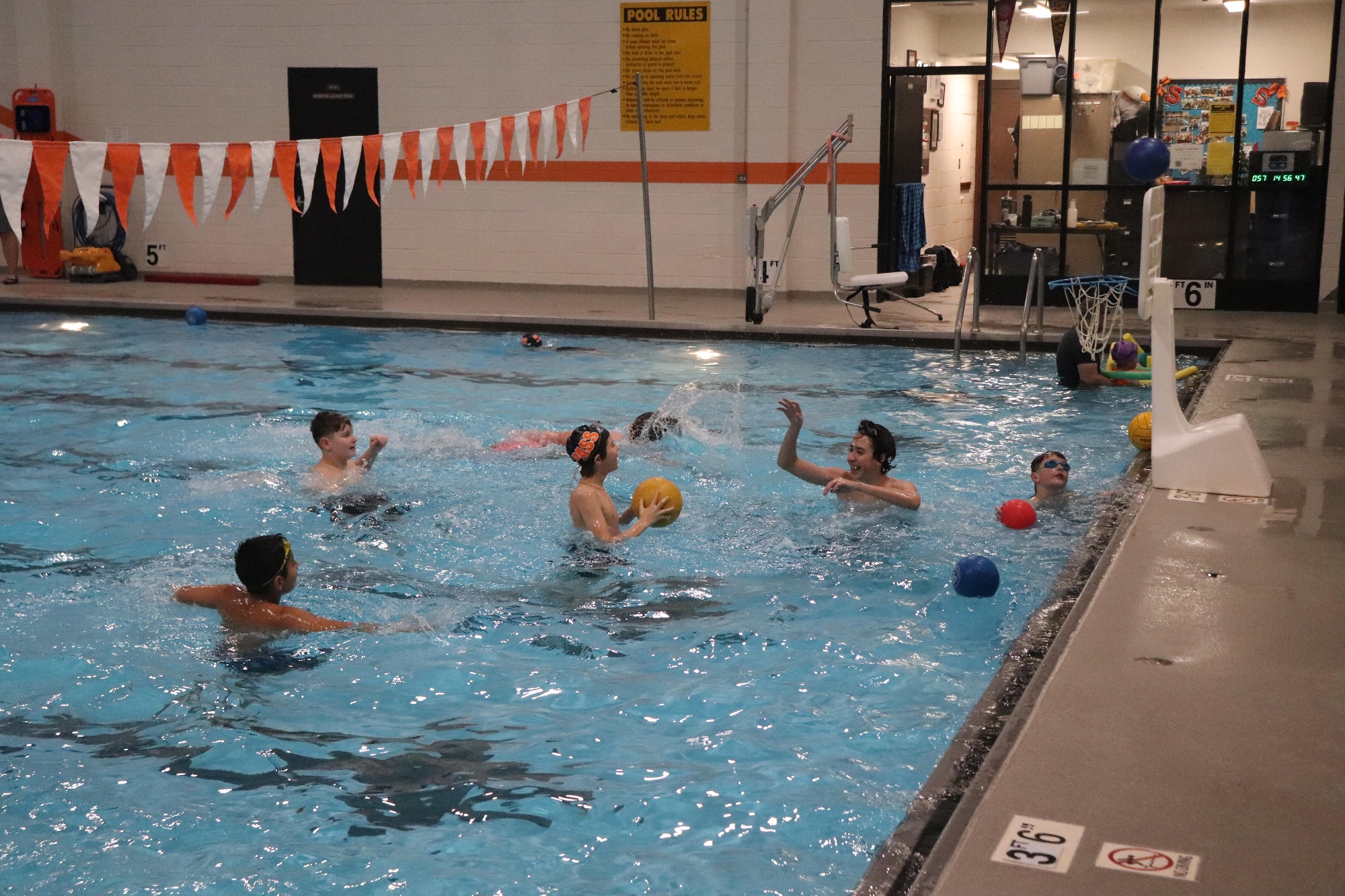 Palos Area Swim Sharks Home