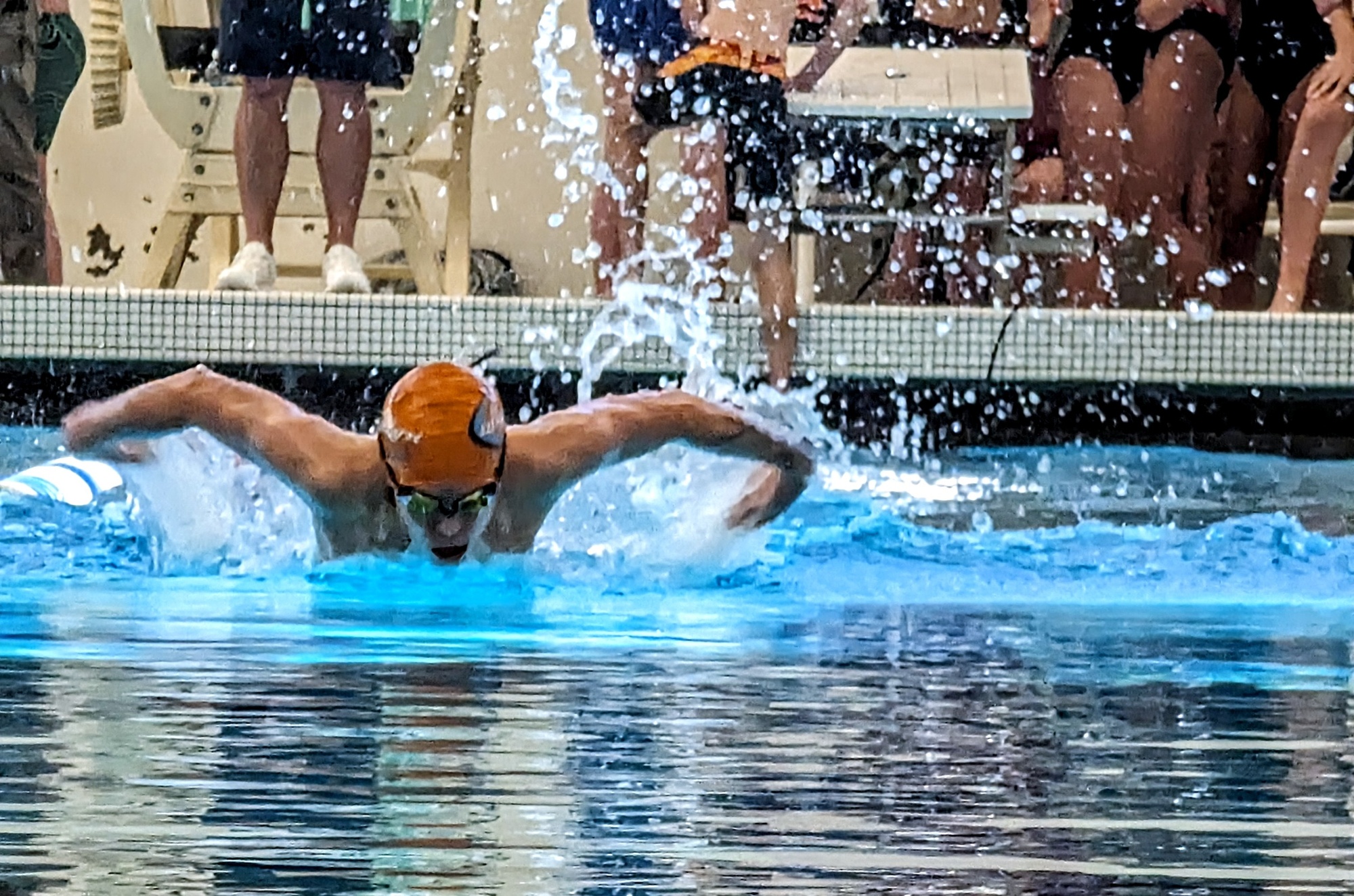 Wheaton Swim Club Home