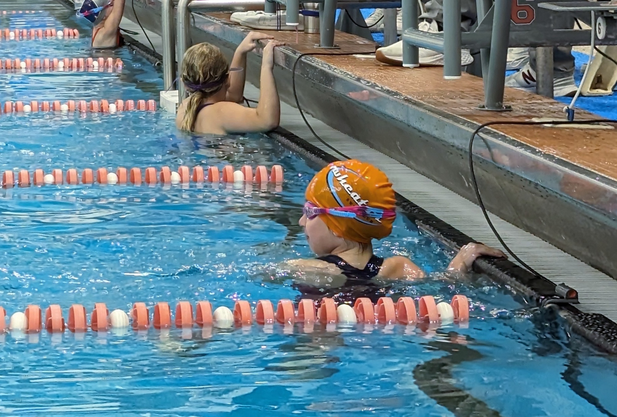 Wheaton Swim Club Home