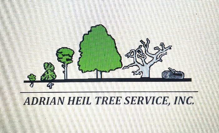 Indiana Swim Club Home