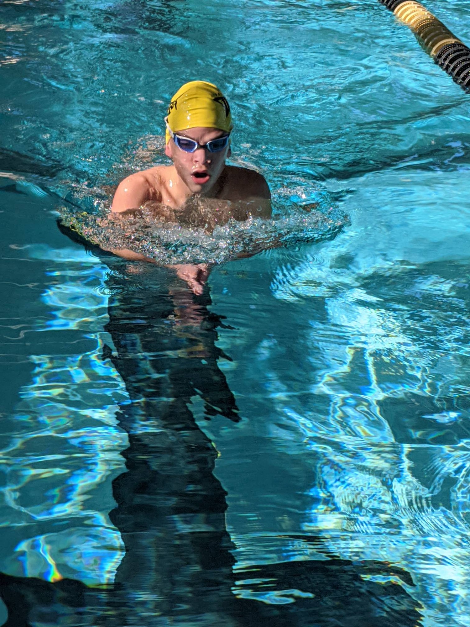 Lebanon Swim Club Home