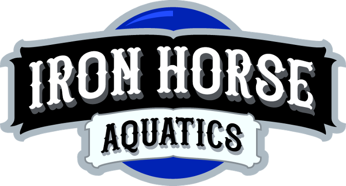Iron Horse Aquatics Swim Team - About