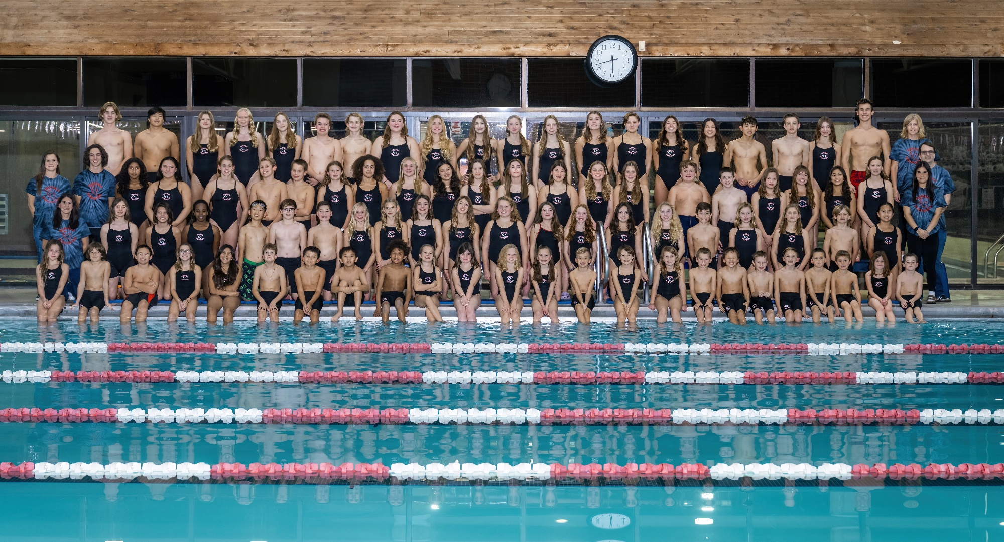 Dundee Dolphins Swim Team Home