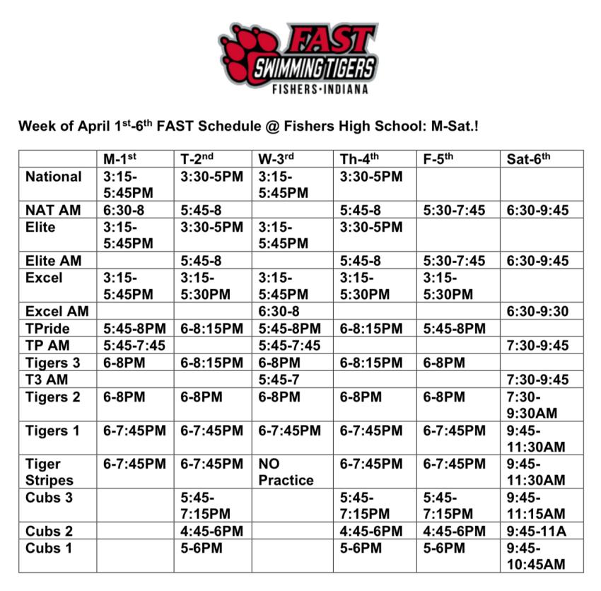 Fishers Area Swimming Tigers - Tigers 2