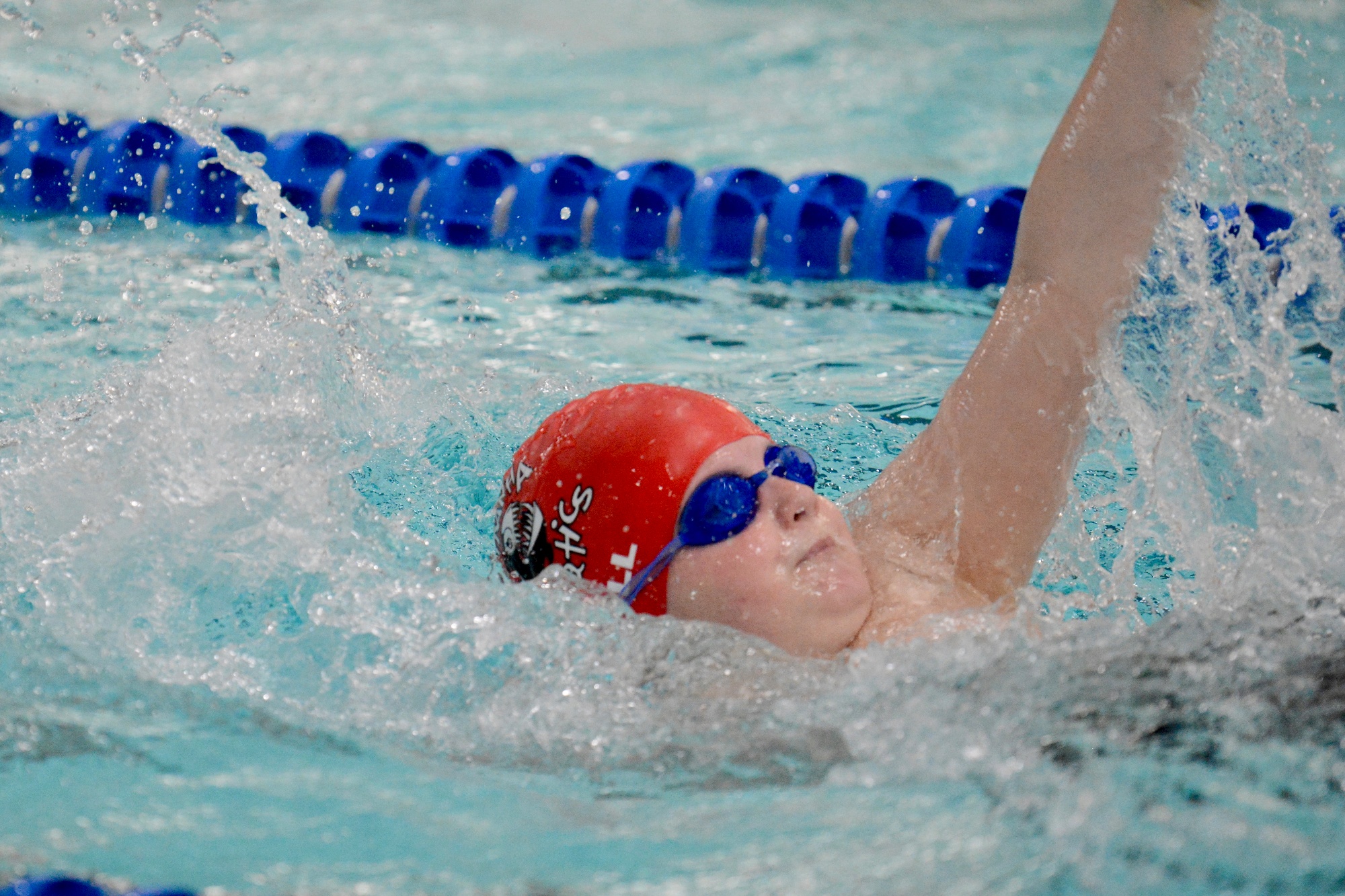 Piranha Aquatics Home