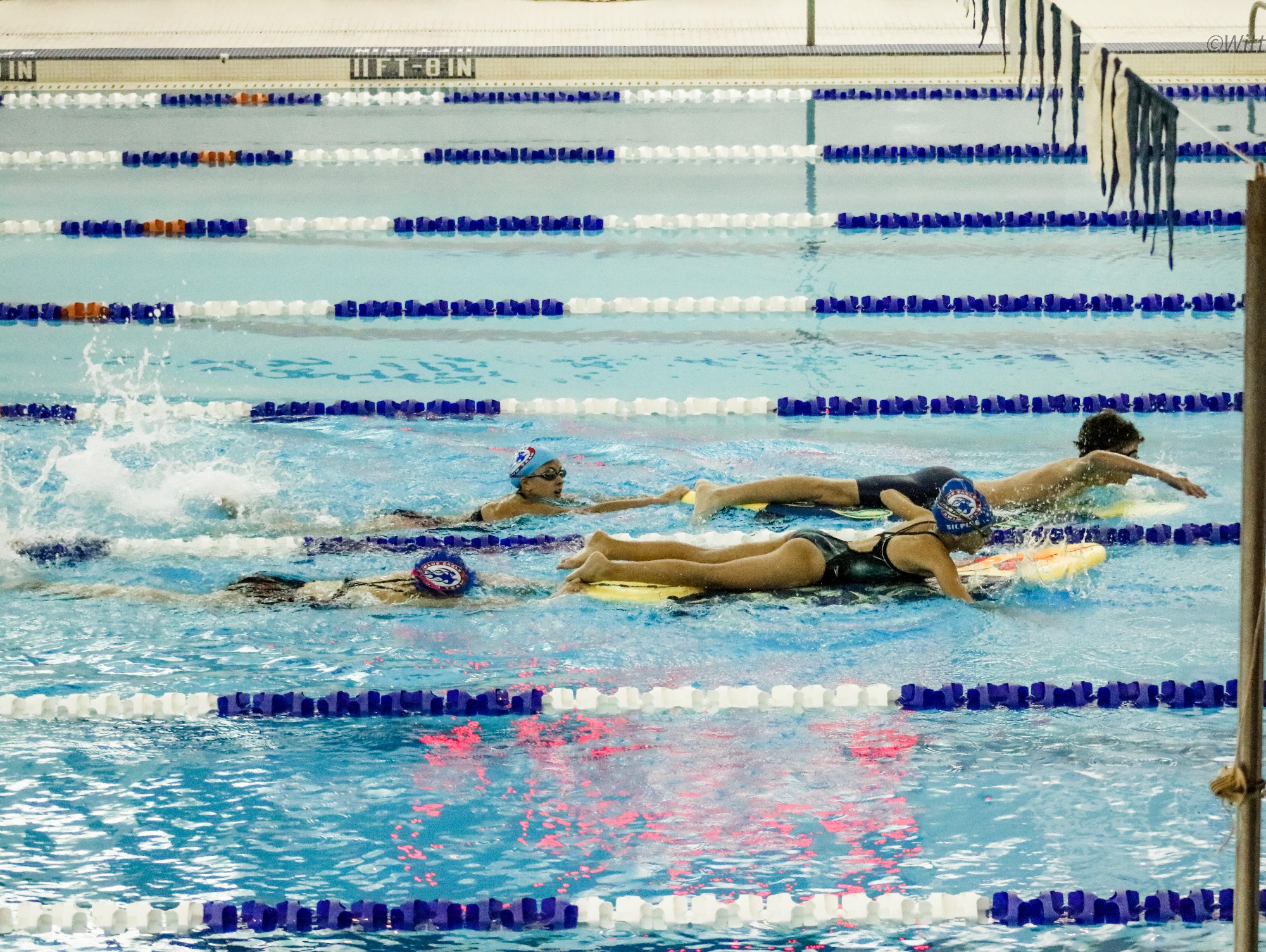 Blue Eagle Swim Team Home