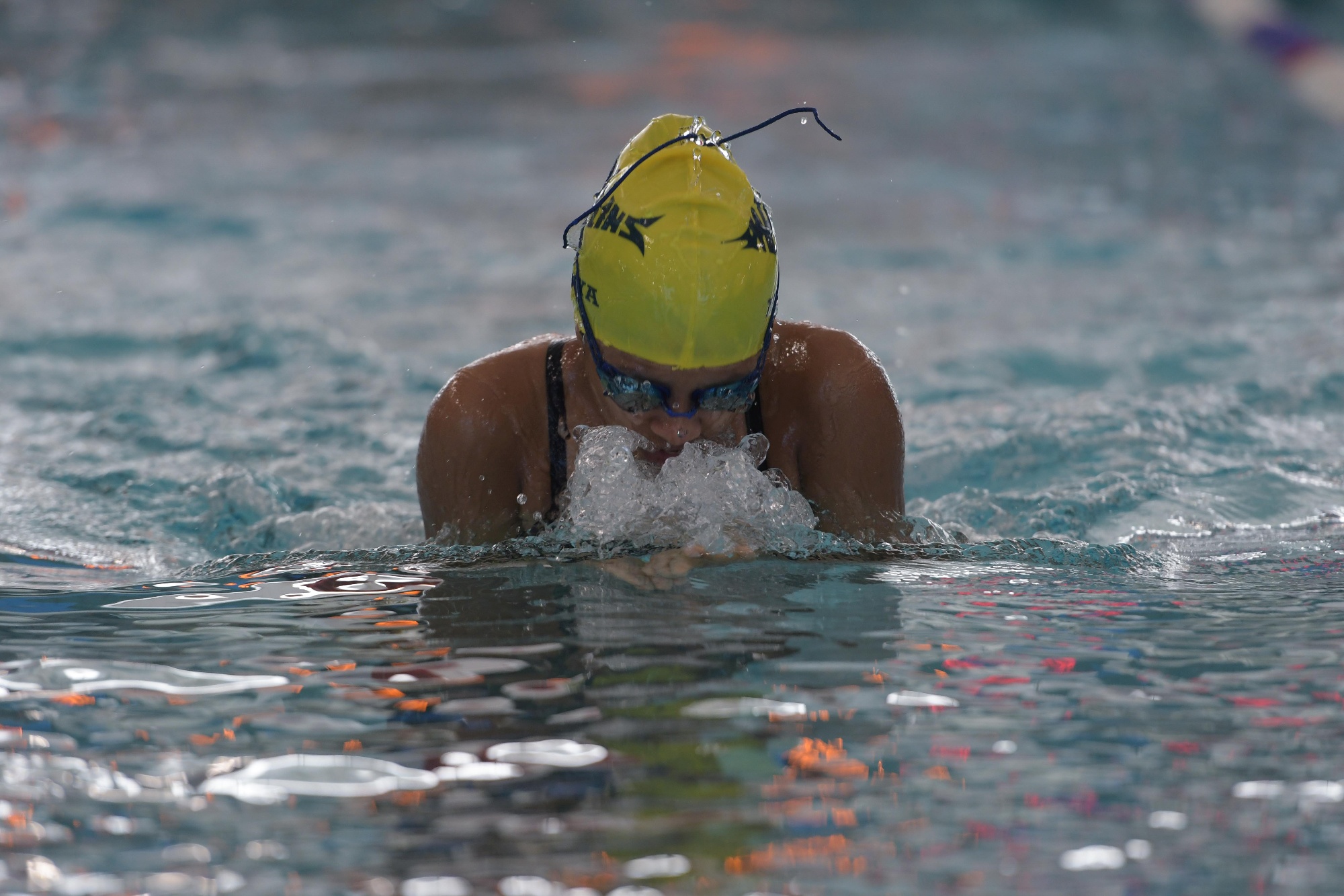 Upper Merion Aquatic Club Home