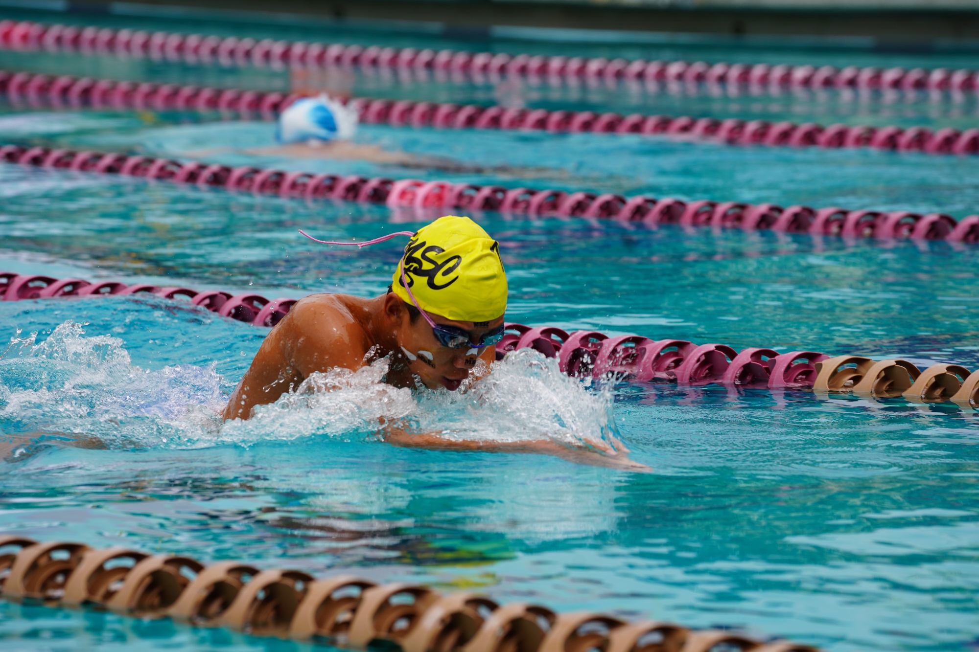 Monterey Bay Swim Club Home