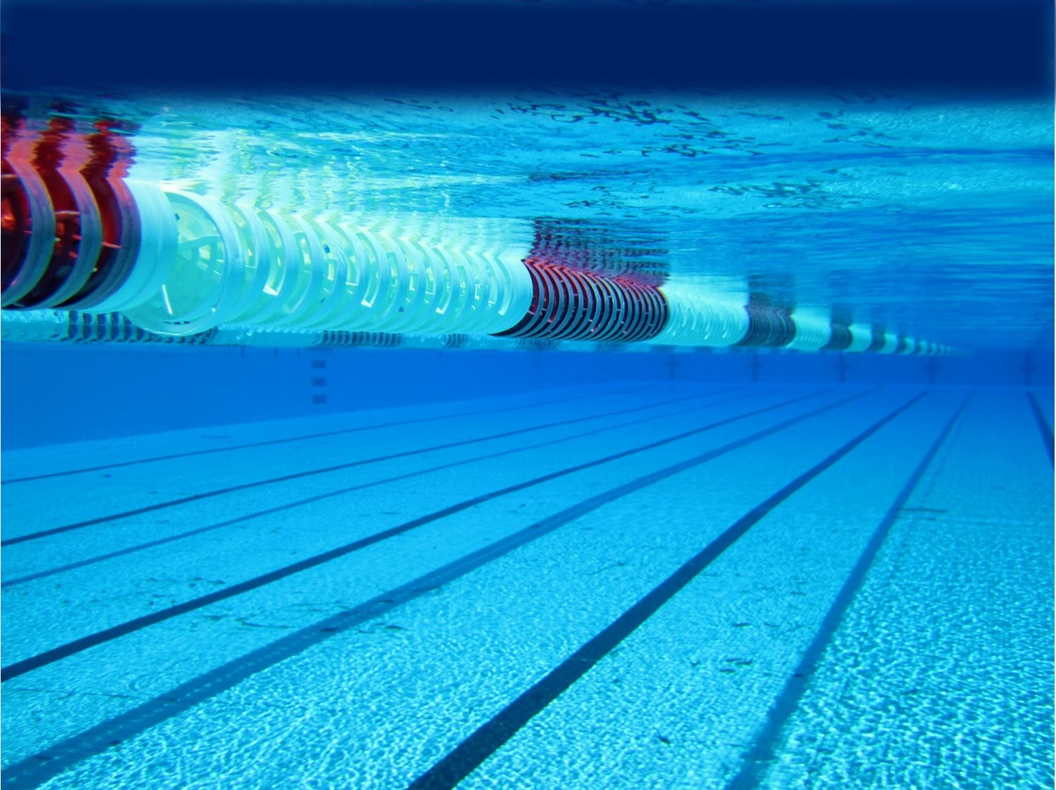 Atlantis Swimming : Swim Today