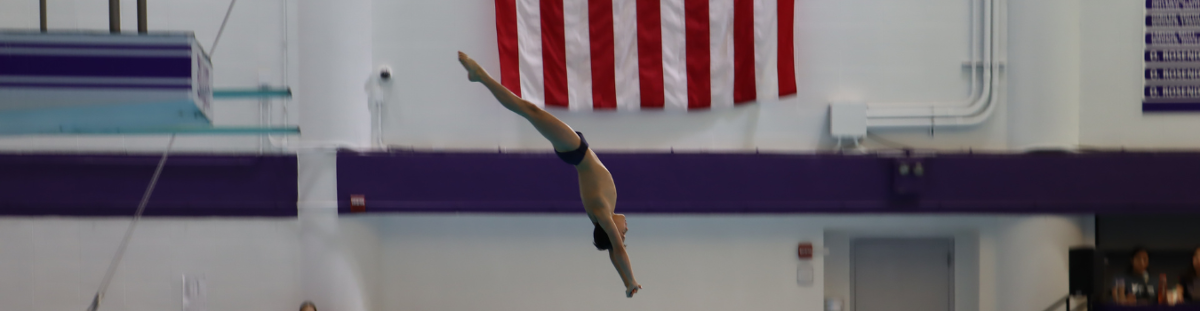 Michigan Lakeshore Aquatics Home