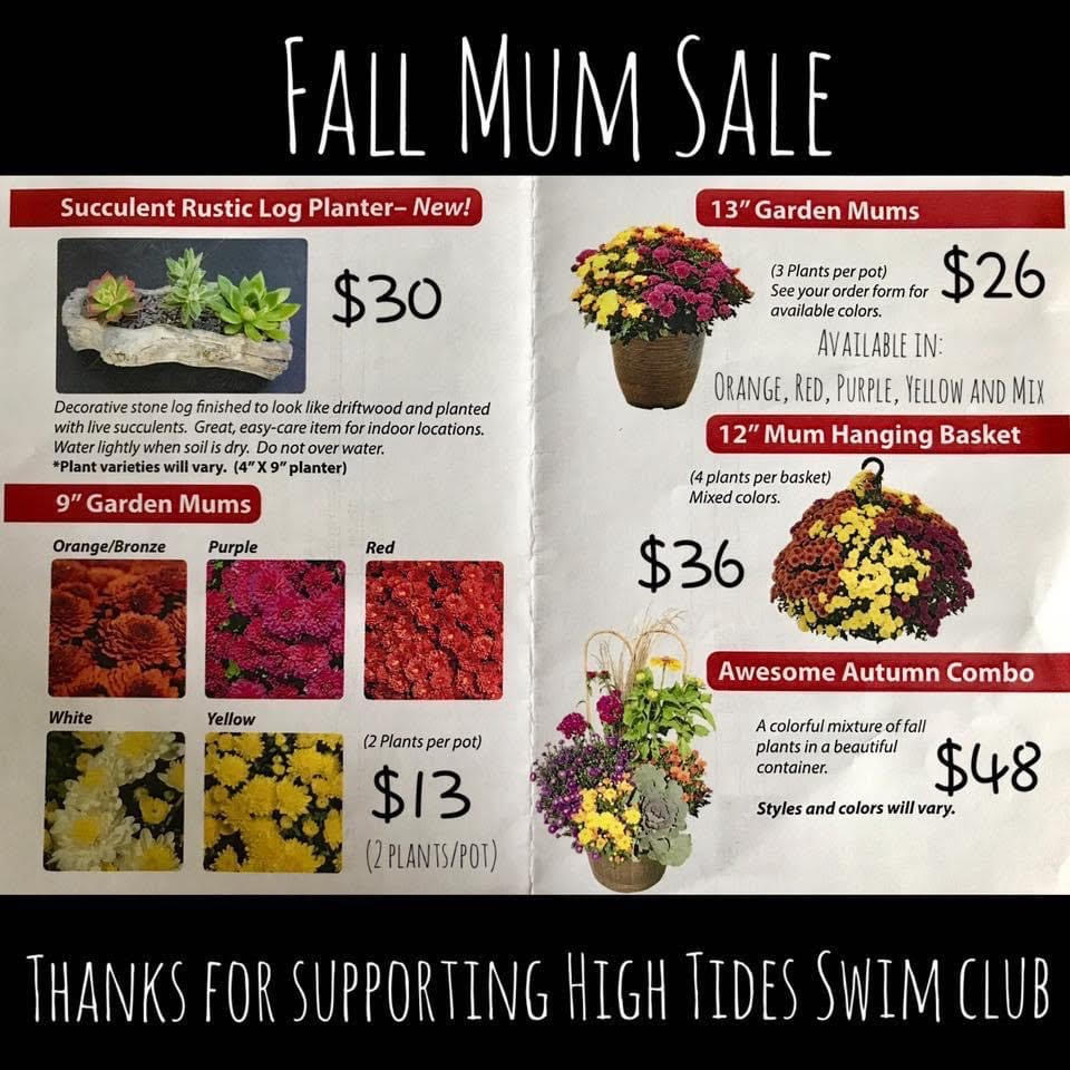 High Tides Swim Club - 2021 Mum Sales Fundraiser