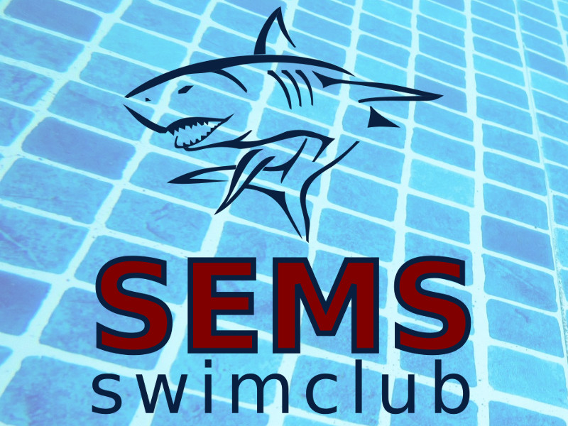 South East Metro Sharks - Swim Groups