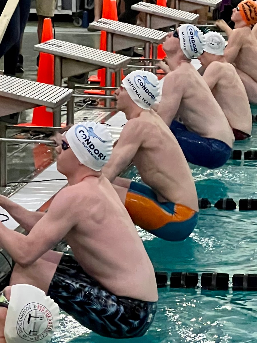 Condors Swimming Home