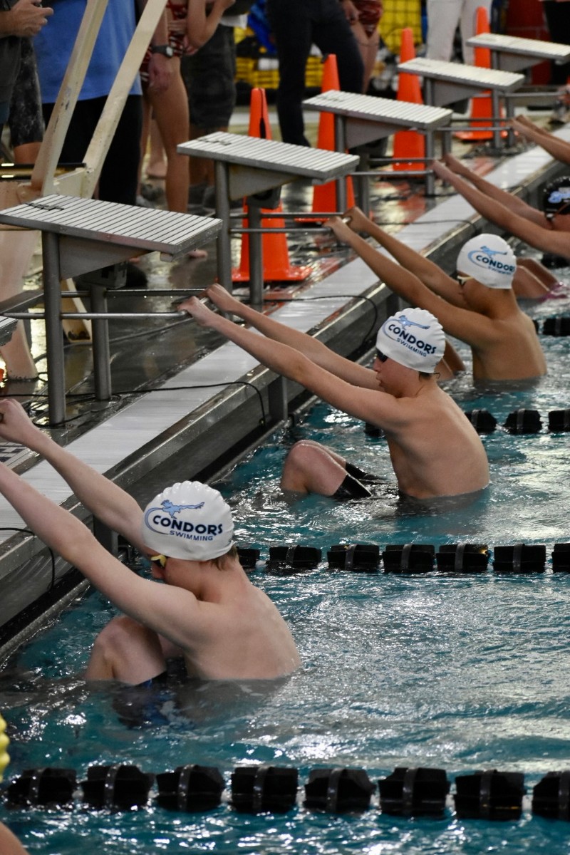 Condors Swimming Home