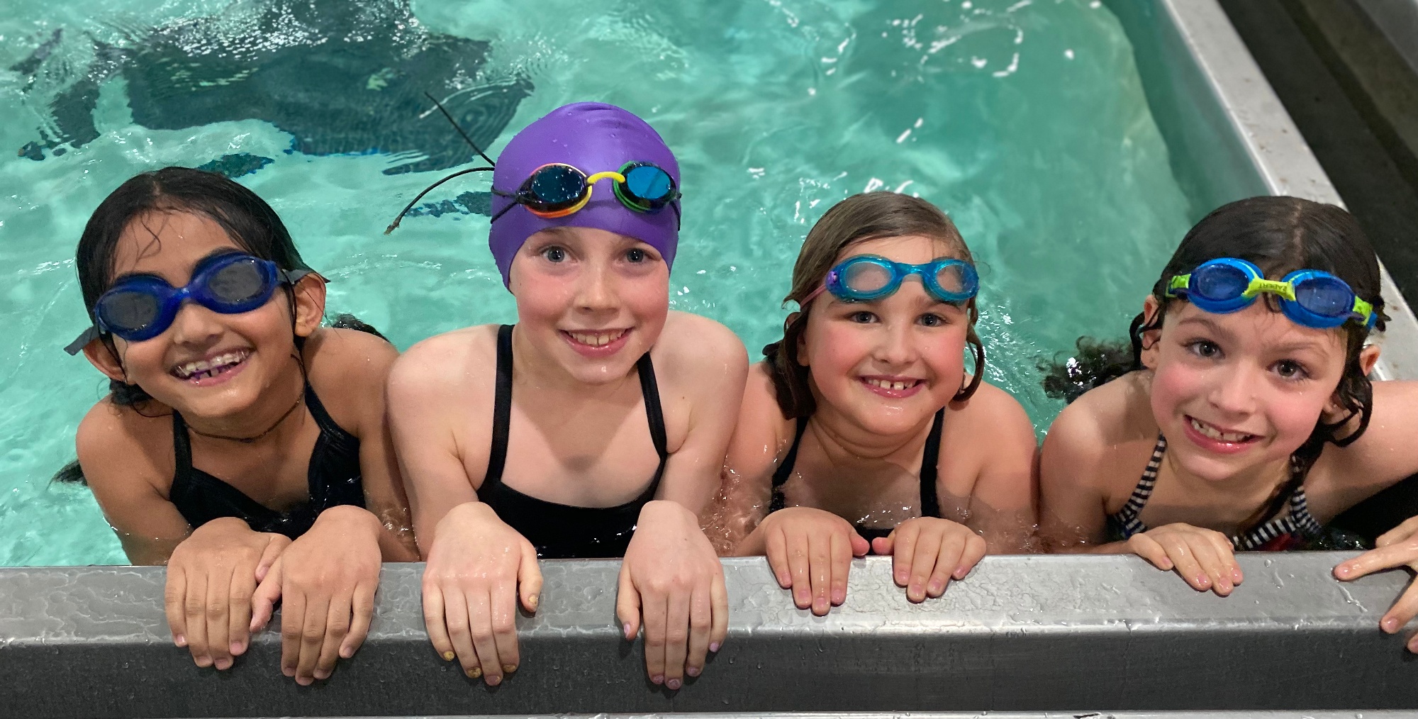 Northern Dutchess Aquatic Club Home