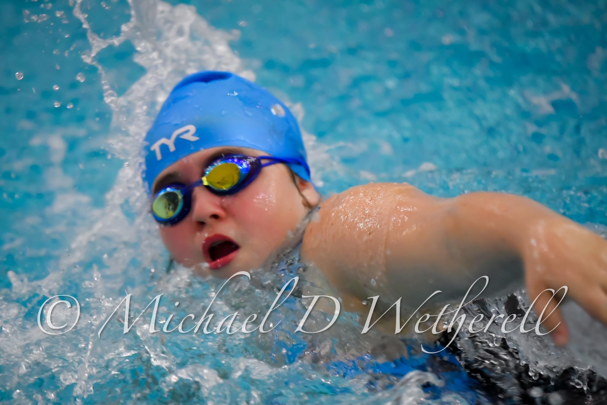 Sachem Swim Club Home