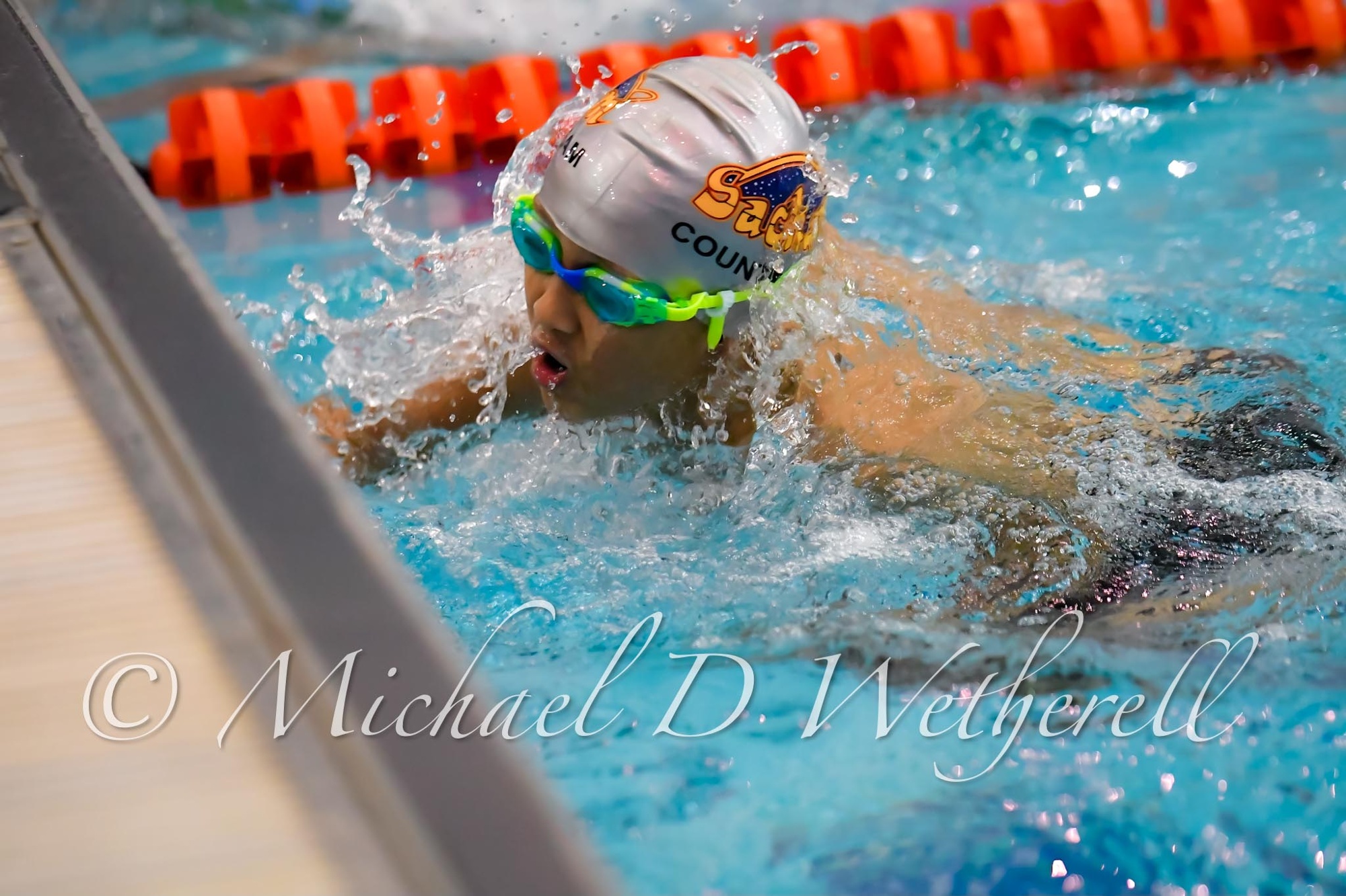 Sachem Swim Club Home