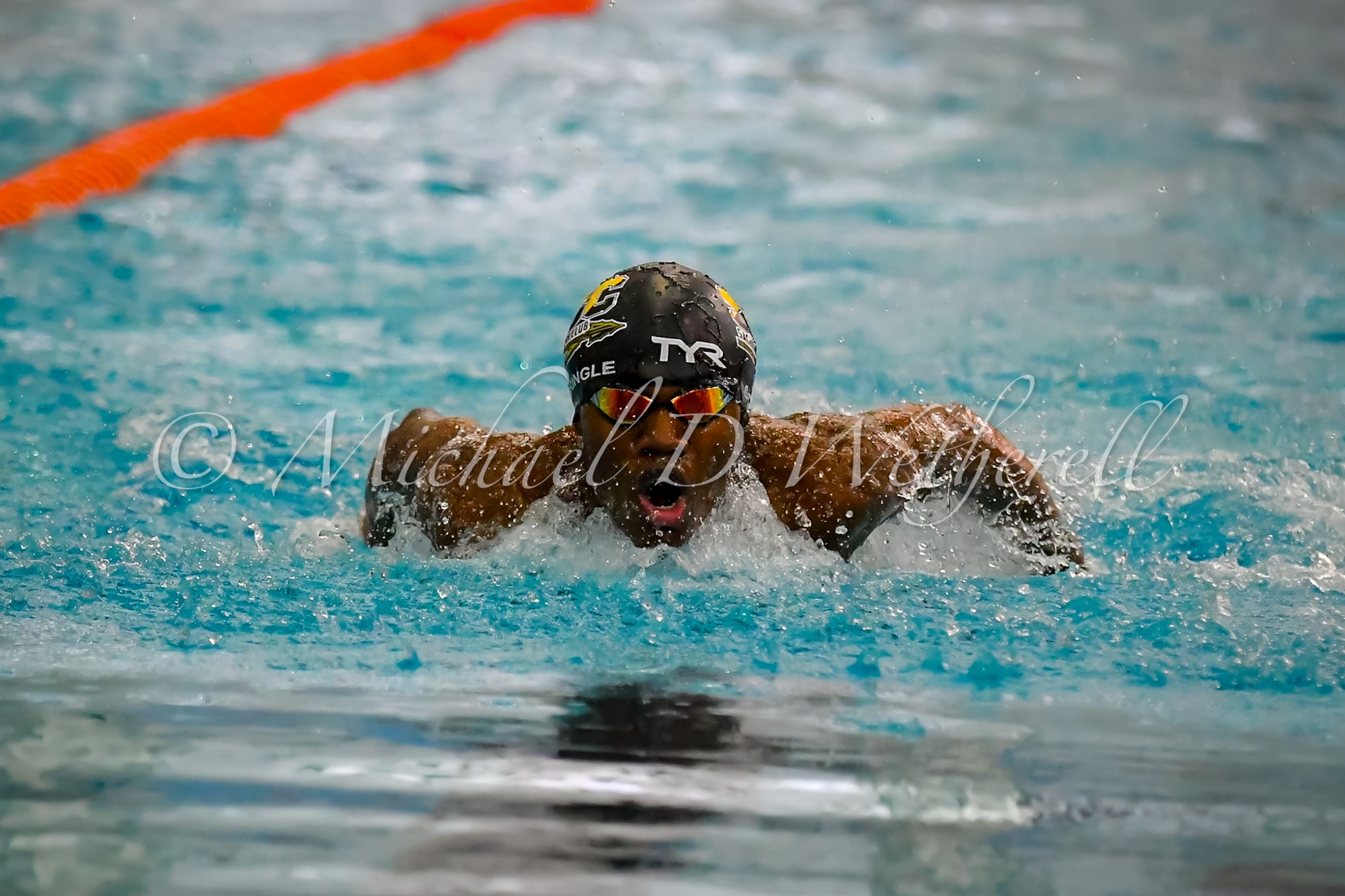 Sachem Swim Club Home