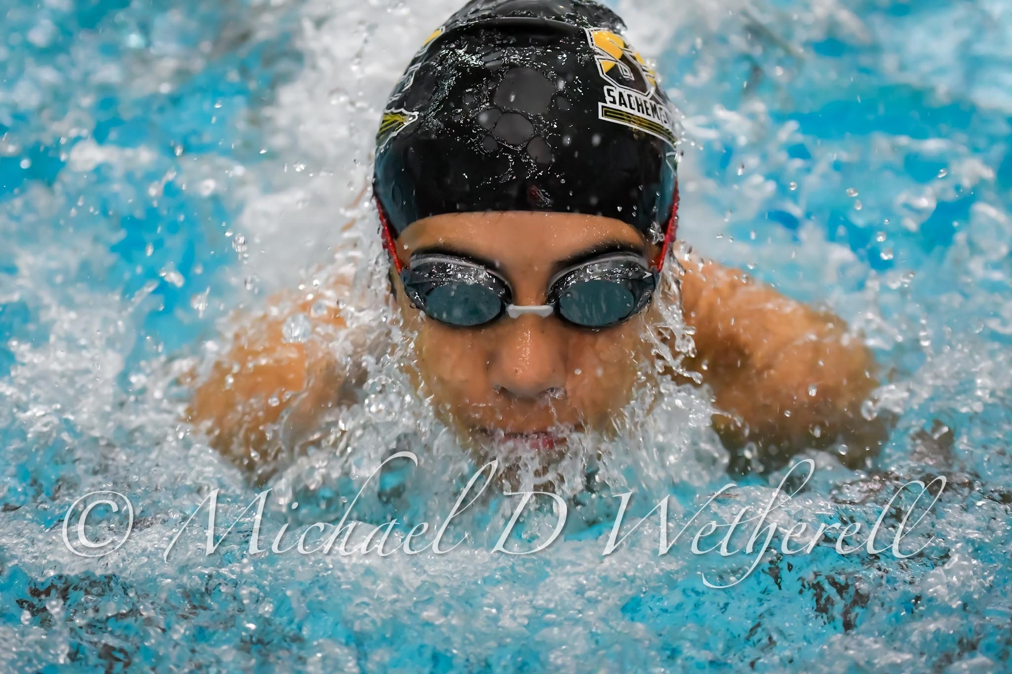 Sachem Swim Club Home