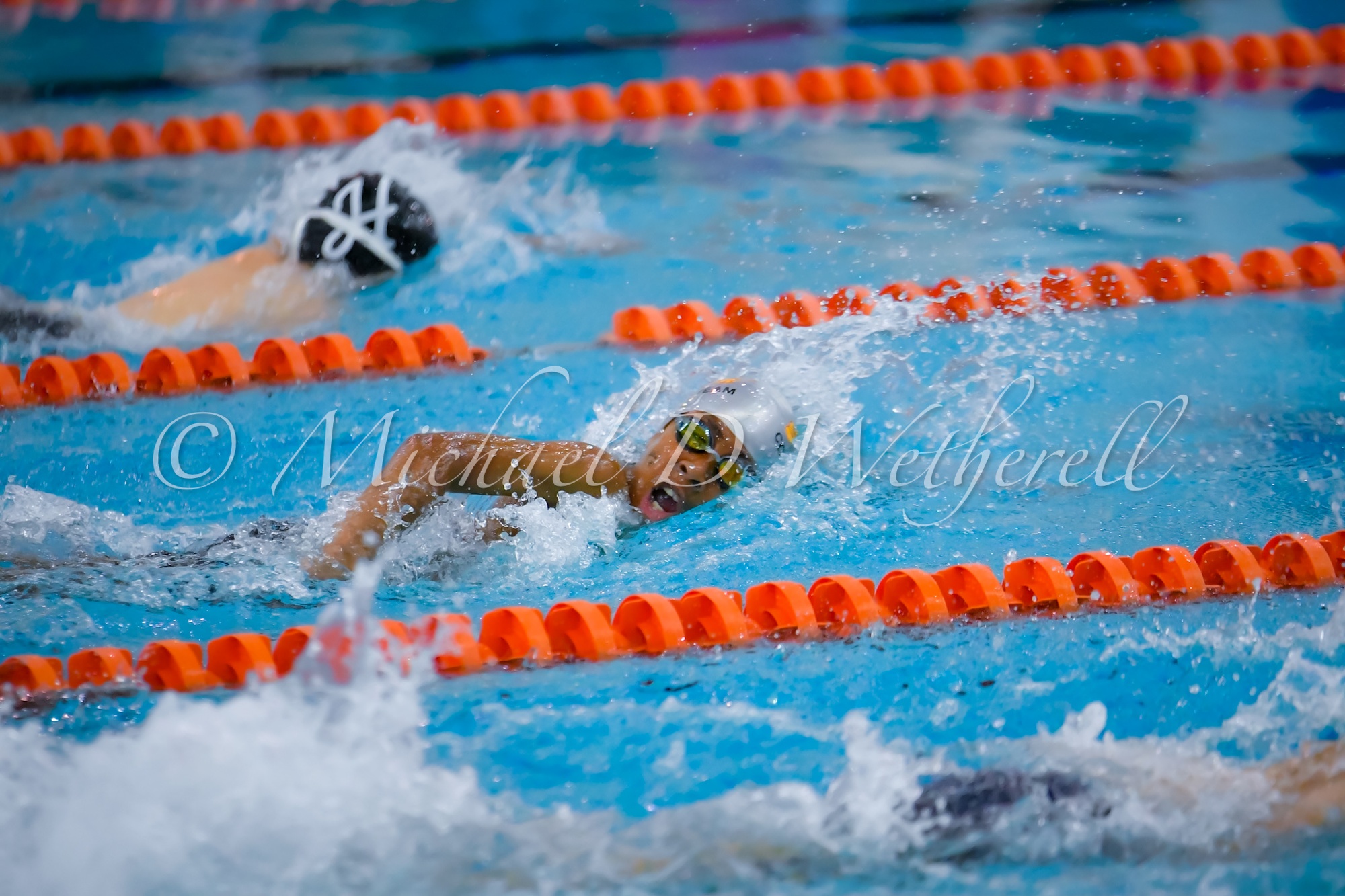 Sachem Swim Club Home