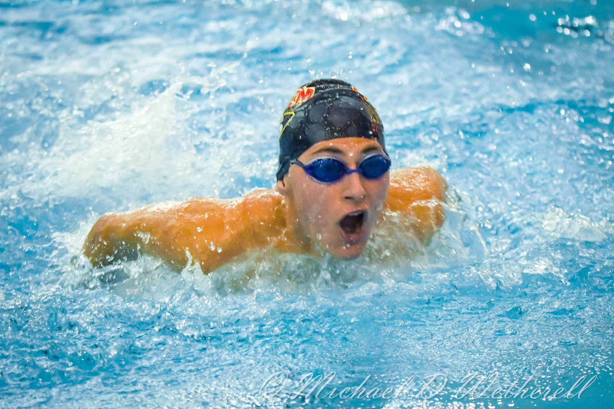 Sachem Swim Club Home