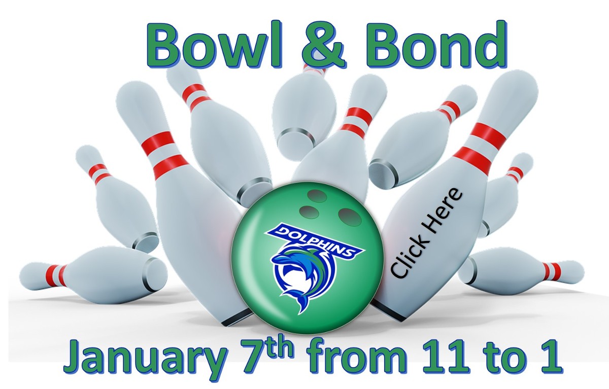 Hudson Valley Dolphins Home