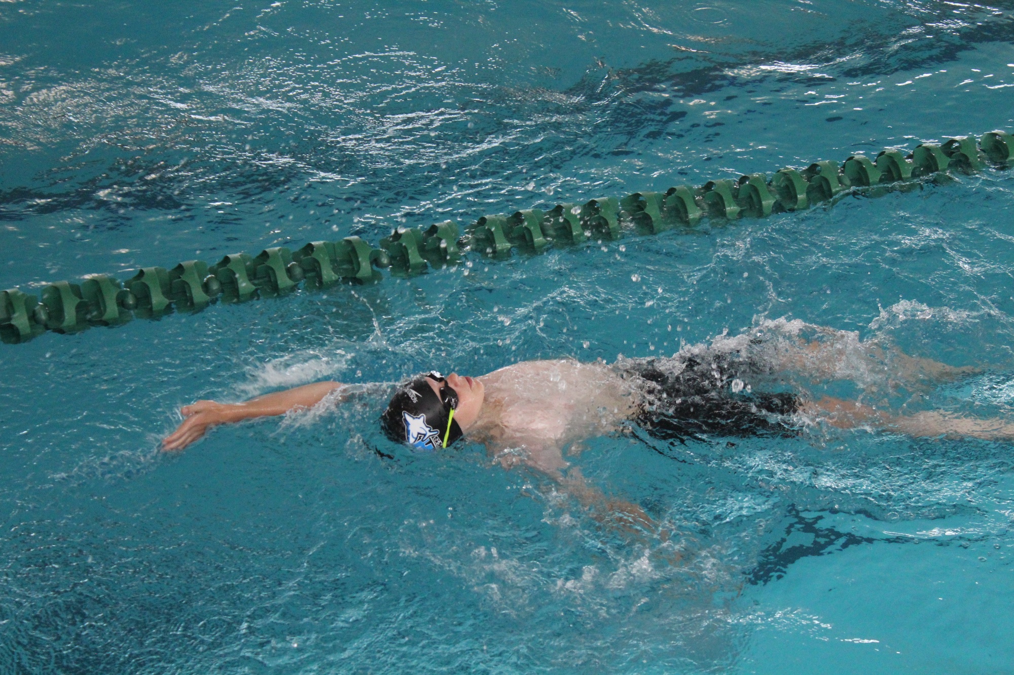 Meridian Swimming Association Home