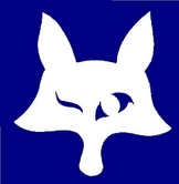 Foxjets Swim Team - How To Join