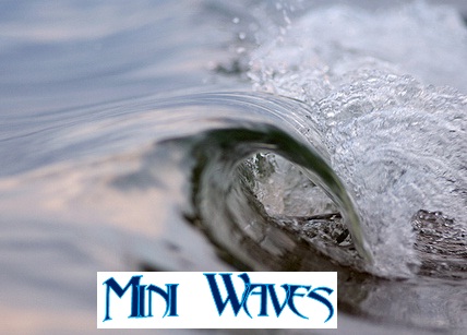 Peak Waves Swim Team - Mini Waves