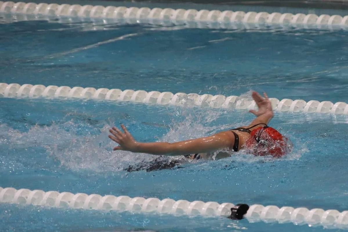 Springfield Aquatics Home