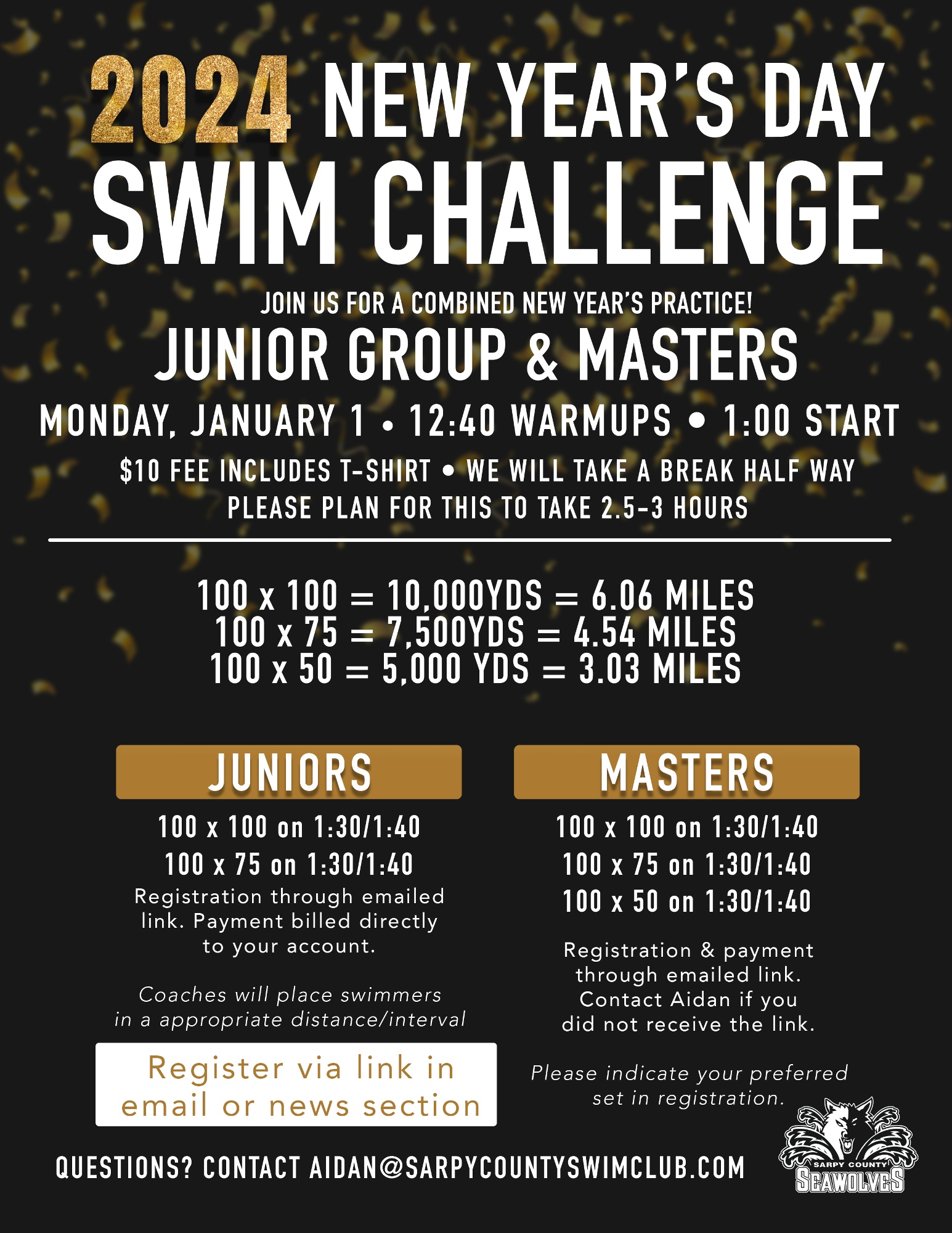 New Year's Day Swim Challenge