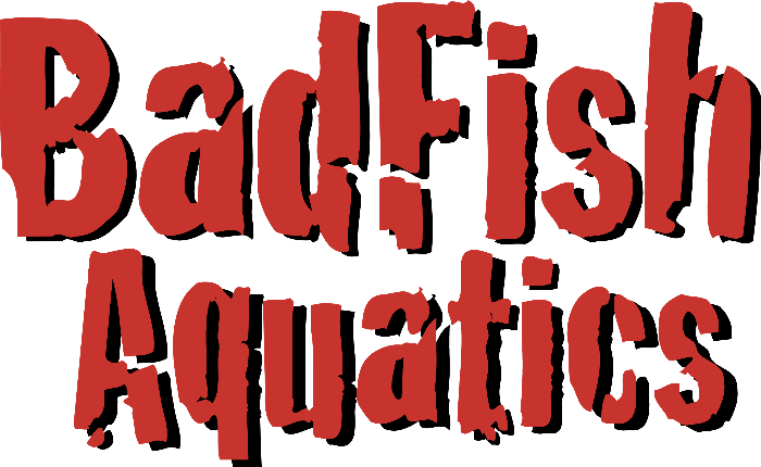 BadFish Aquatics Home