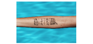 Oyster River Otters Home