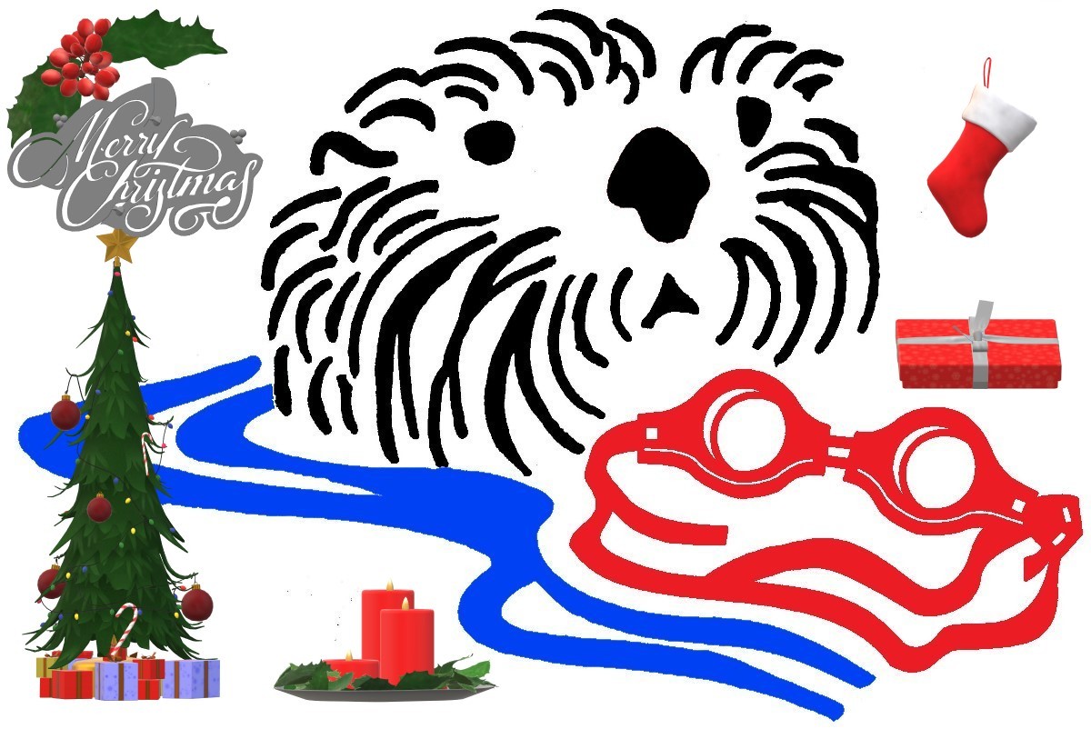 Oyster River Otters Home