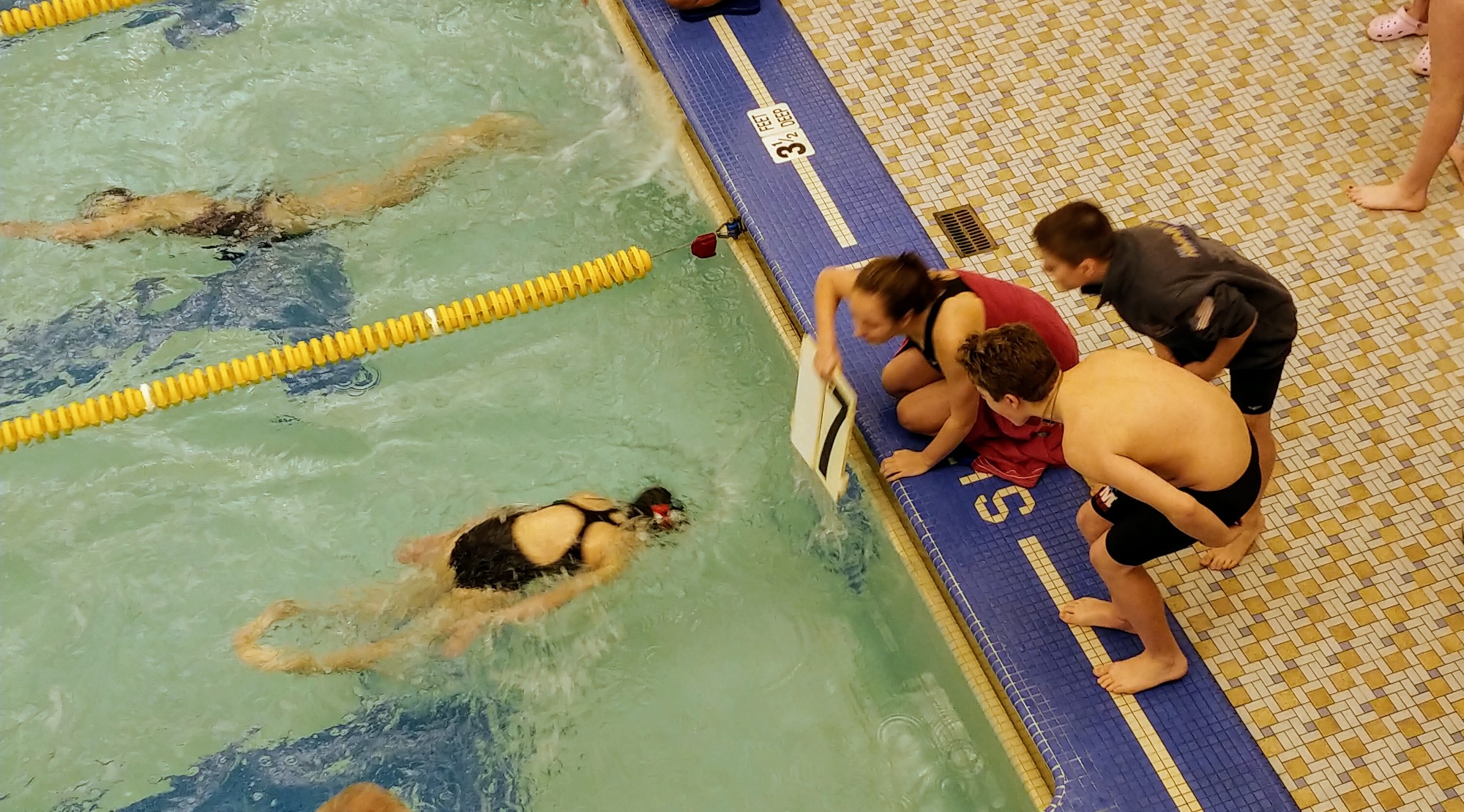 Pal-Mac Swim Club Home