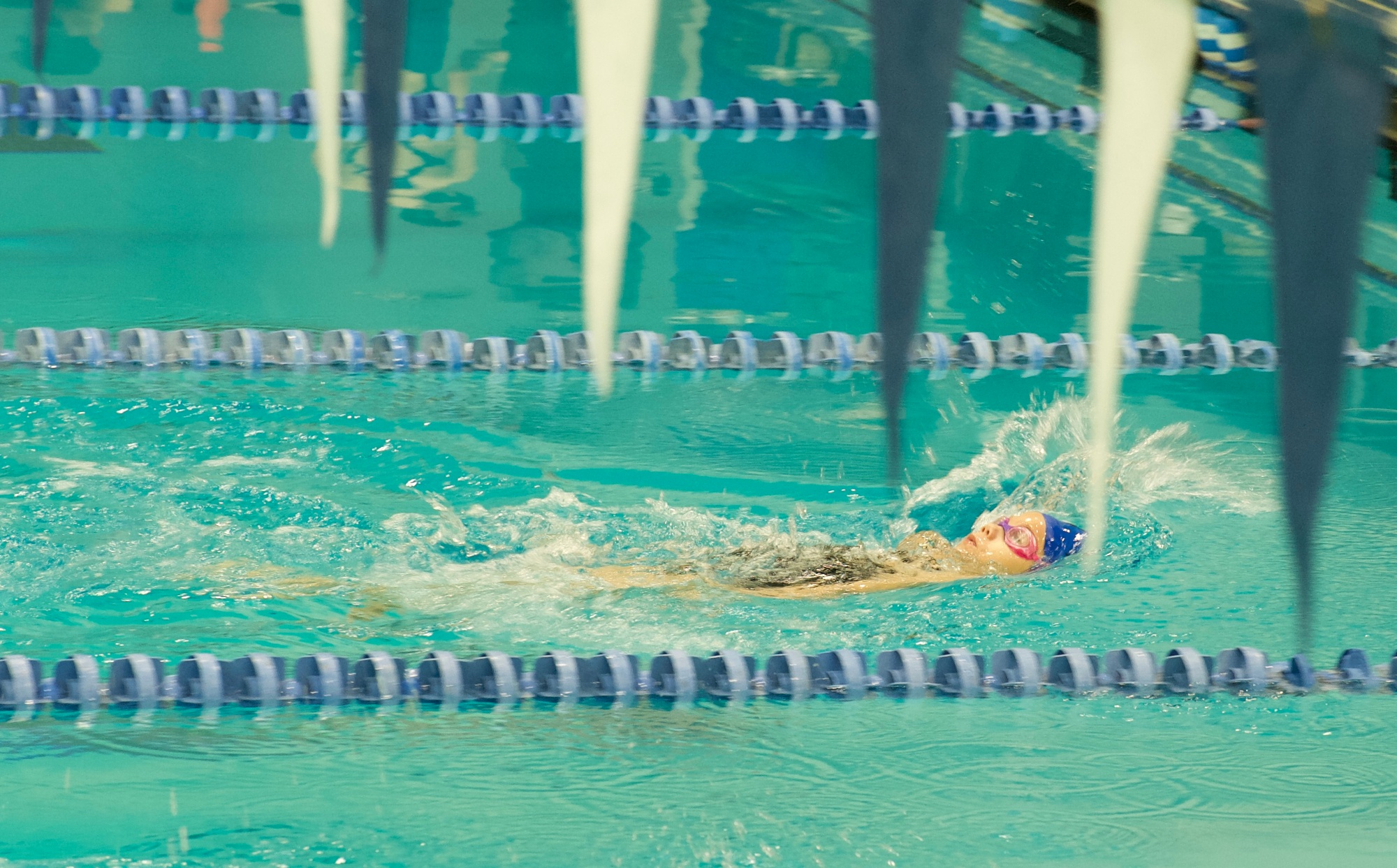 Academy of Texas Aquatic Champions Swim Club Home