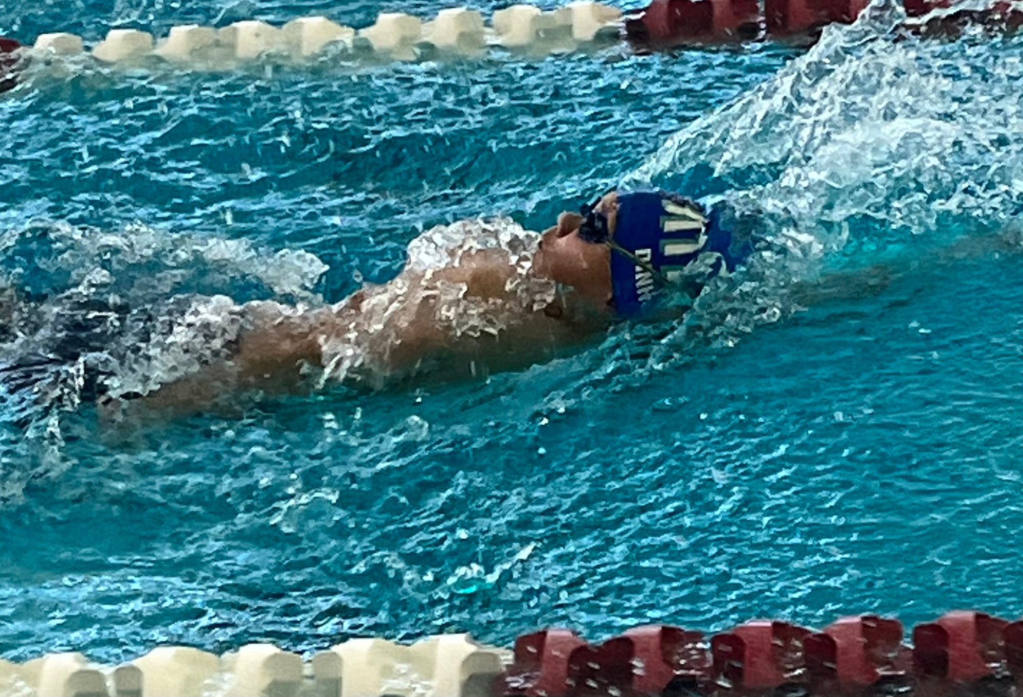 Academy of Texas Aquatic Champions Swim Club Home