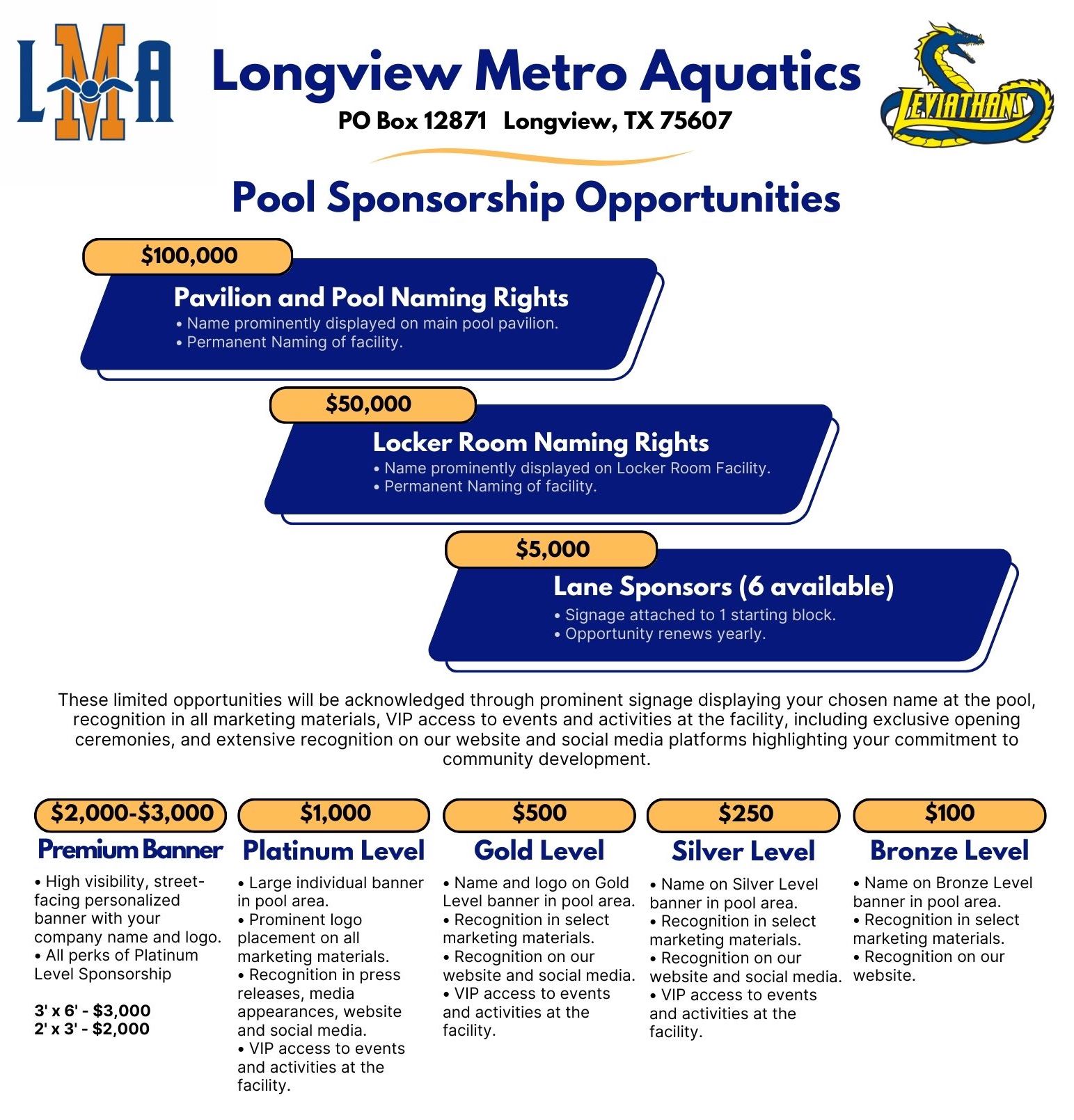 Longview Metroplex Aquatics - Pool Campaign