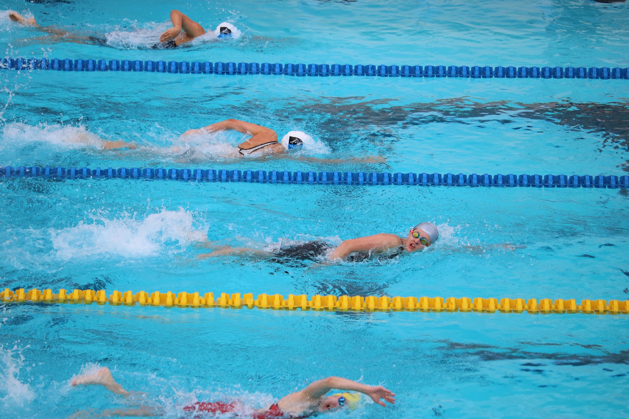 Prosper Aquatic Club Home
