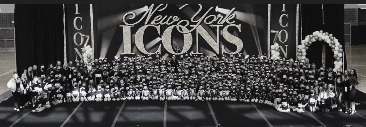 New York Icons Home