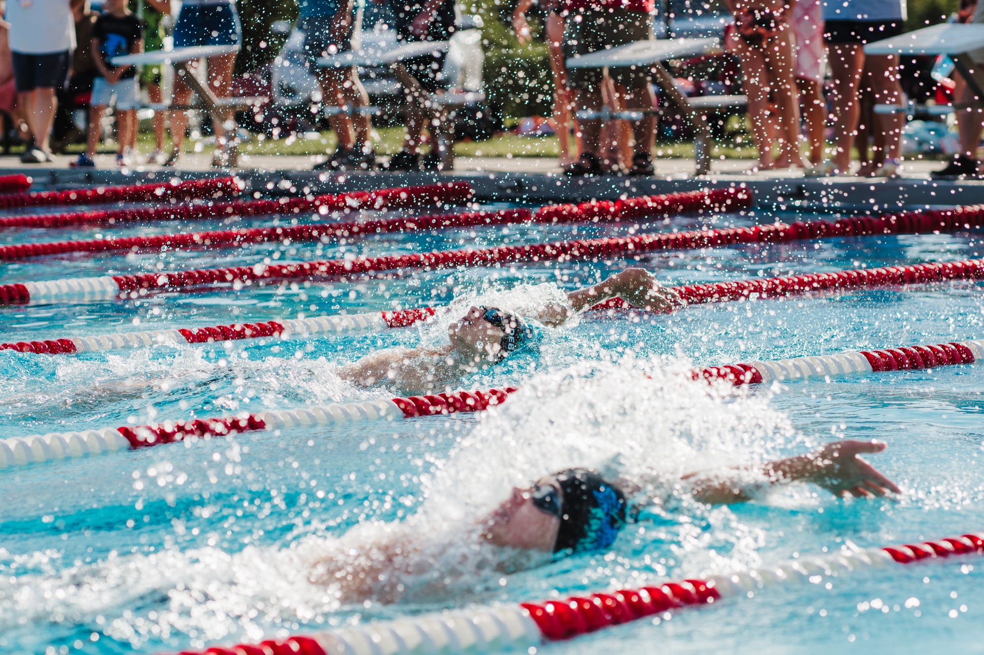 Findlay YMCA Frogs Home